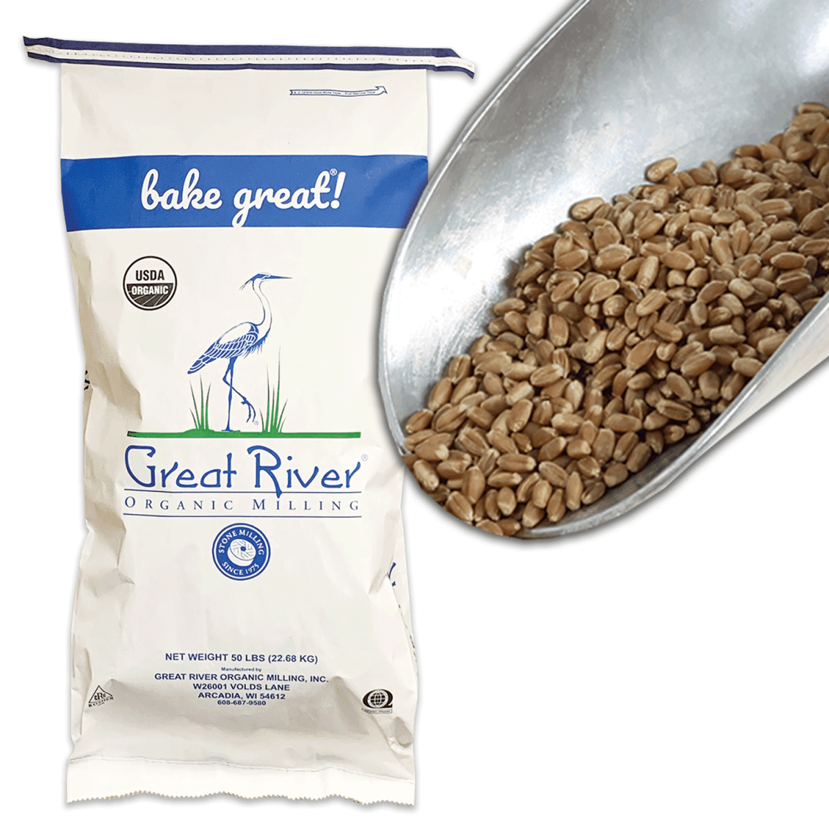 Organic Whole Grain Hard Red Spring Wheat