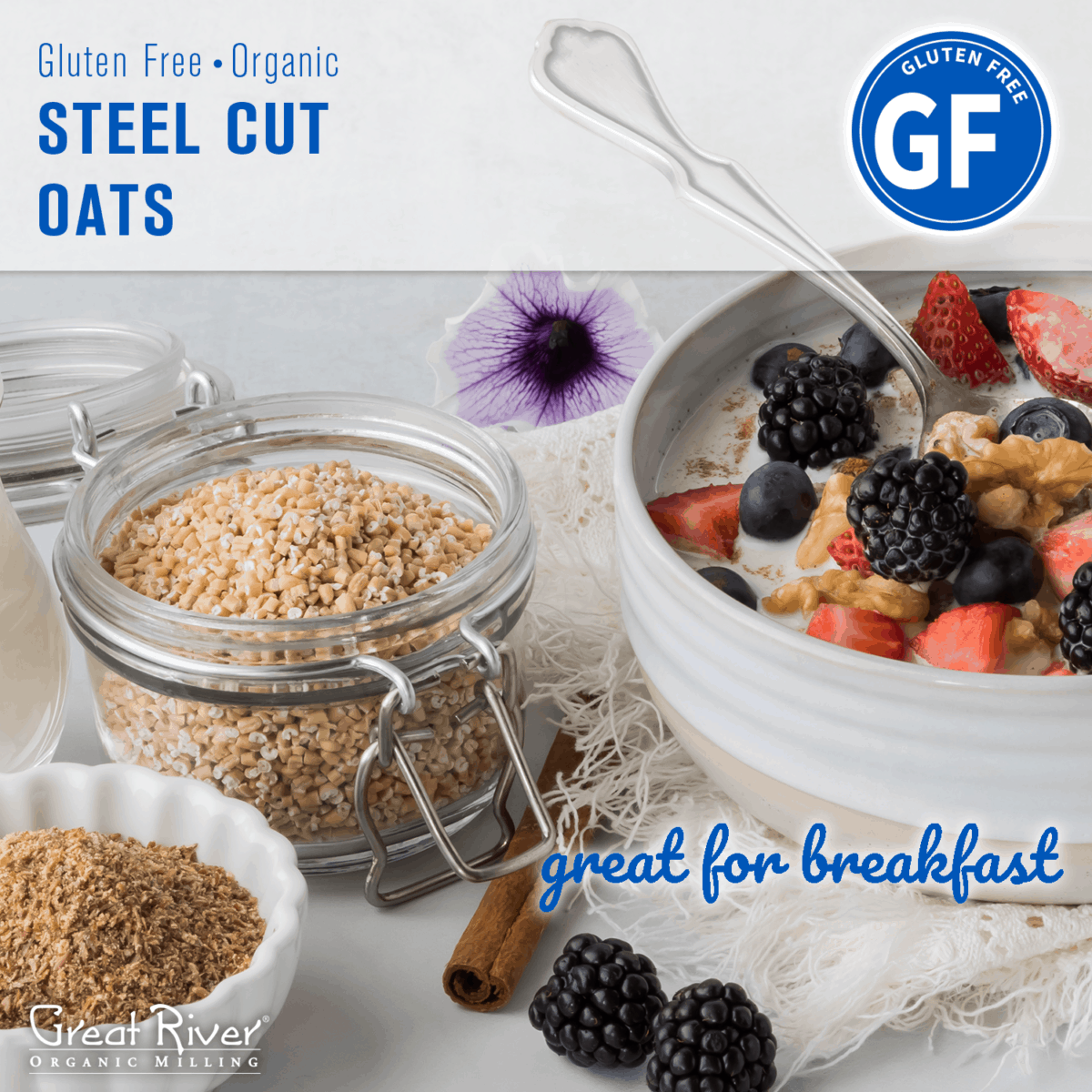 Organic Steel Cut Oats